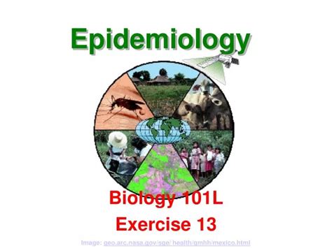 PPT Epidemiology PowerPoint Presentation Free Download ID 5496389