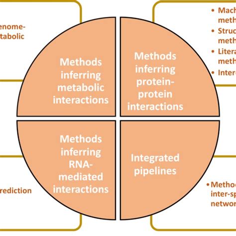 overview of the four different categories of computational methods