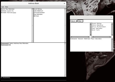 Mcclim A Powerful Gui Toolkit For Common Lisp