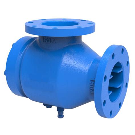 Trple Duty Control Check Valve Suction Diffuser From China