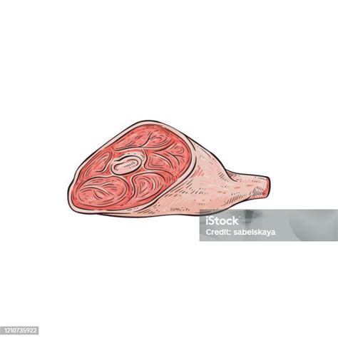 손으로 그린 돼지 고기 햄 쇠고기 또는 양고기 고기에 대한 스톡 벡터 아트 및 기타 이미지 고기 농장 다리 신체 부분