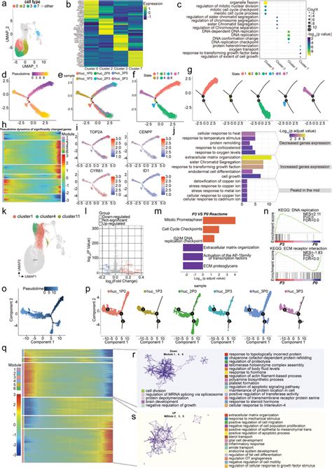 Heterogeneity Analysis Of Proliferative MSCs And Nichesupporting MSCs