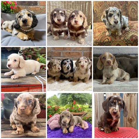 그렇게 카페가 된다 그렇게카페가된다 디자인 인테리어 청담동 한복 한복연구소 청화담 시공중 새로운 사업을 준비중이신가요 사업장 인테리어가 필요하시다면 예산