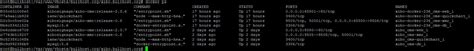 xibo installation with xibo docker cms installation xibo community