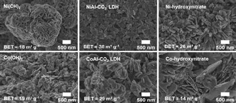 Sem Micrographs Of Ni Top And Co Bottom Compounds Nioh 2 And