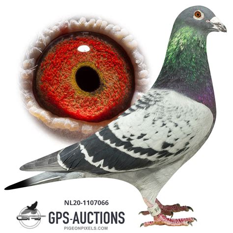 Mark Van Den Berg And Henri Vd Linde Special Gps Auctions