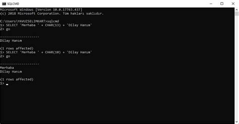 SQL Server da Char 10 ve Char 13 Arasındaki Fark SQL Server Eğitimleri