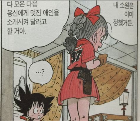 소년만화 이줄 알았던 알가보니 사실상 망가 주인공인 부르마 Bgm 유머 움짤 이슈 에펨코리아