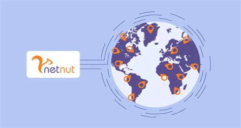 A Comprehensive Guide on NetNut Proxies 2024 - Syllables