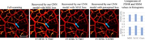 comparison between the cnn models with pixel wise mse mae loss and