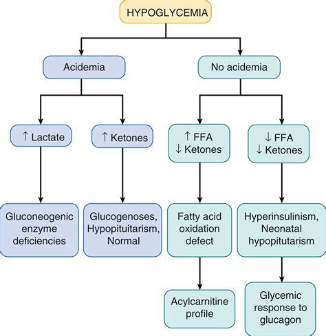Pathophysiology Of Neonatal Hypoglycemia Clinical Tree