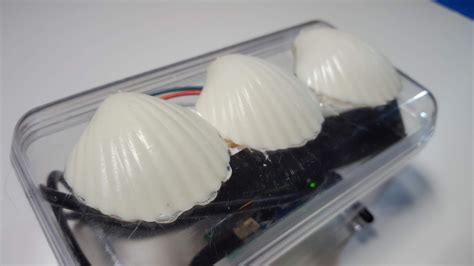 Arduino ESP8266 Raspberry Pi Co