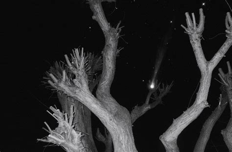 Abnormal Climate Booooooom Create Inspire Community Art