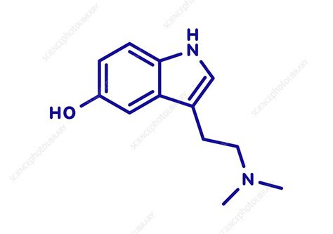 Bufotenin Molecule Illustration Stock Image F0305067 Science
