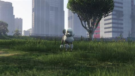 Tiere In Gta Ein Umfassender Guide Zu Wildtieren V Geln Und Meereskreaturen