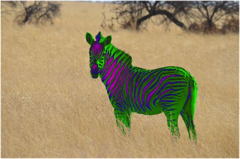 Dont Photoshop Itmatlab It Image Effects With Matlab Part 4 Steve On Image Processing