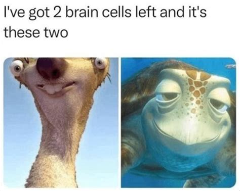 The Latest Memes Memedroid