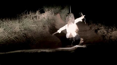 8 2017 Mubi 8 2017 Mubi