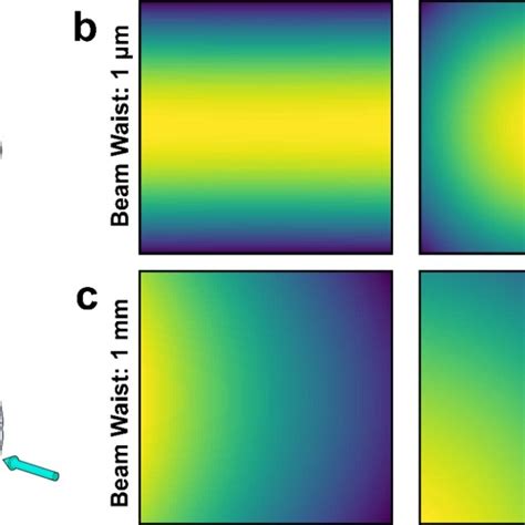 The Contour Plots Displayed Here Are Representative Plots Chosen From A