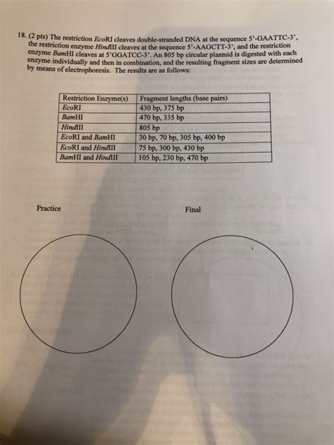 Solved The Restricition Ecori Cleaves Double Stranded Dna At