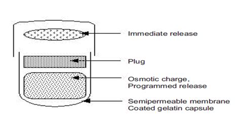 Schematic Design Of Osmotic System Reproduced From Arora S Ali J