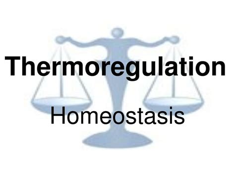 PPT Thermoregulation PowerPoint Presentation Free Download ID