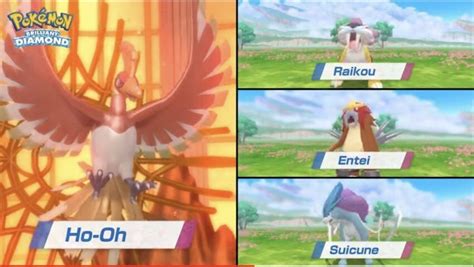 브다 칠색조 스이쿤 엔테이 라이코 샤펄 루기아 썬더 파이어 프리져 포켓몬 에펨코리아