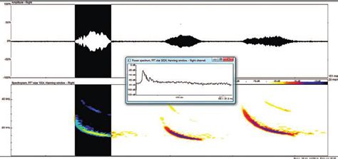 Oscillogram Spectrograms And Power Spectrum Of The Recorded C1 Type
