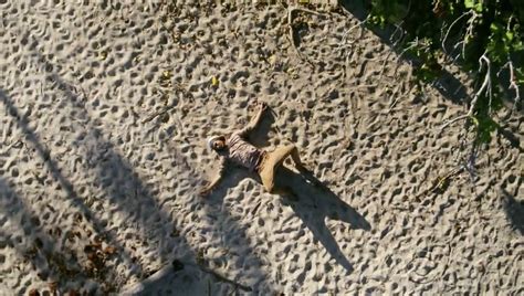 Best U Survivorfan Images On Pholder Survivor Big Brother And Britney Spears