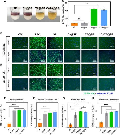 Silk Based Hydrogel Incorporated With Metal Organic Framework Nanozymes