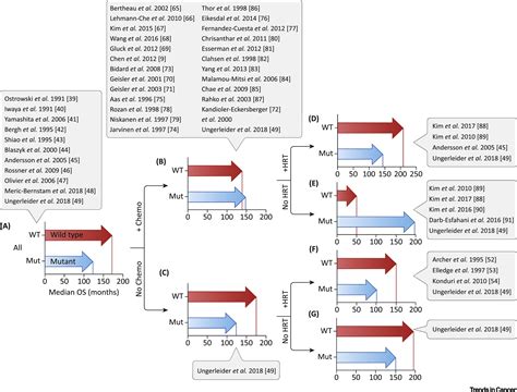 Tp53 Mutations And Outcomes In Breast Cancer Reading Beyond The Headlines Trends In Cancer