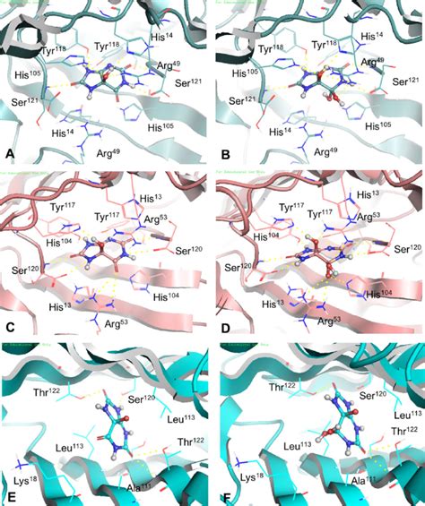 Predicted Binding Modes For 5 Hiu And Hiu Hei Poses Predicted In The