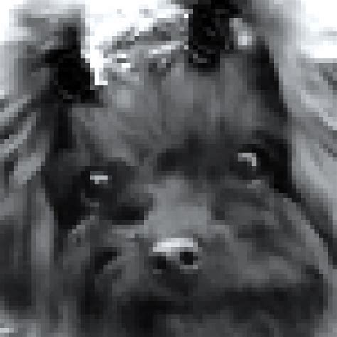 Sandspiel Studio Beta