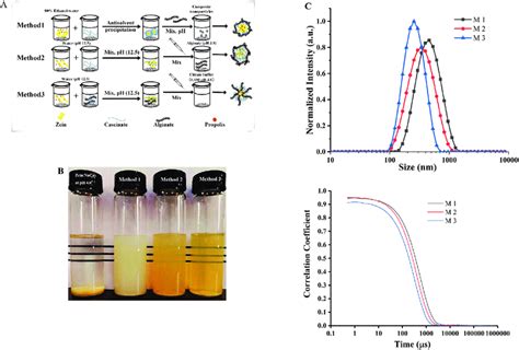 A Schematic Illustration Of Propolis Loaded Zein Nacas Alginate Download Scientific Diagram