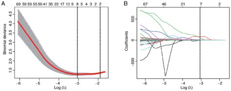 Radiomics Feature Selection A The Tuning Parameter λ Was Selected