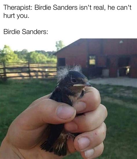 Birdie Sanders Scrolller