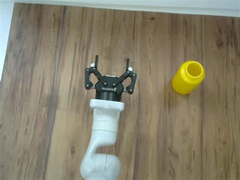Gripper Object Detection Dataset By Iit