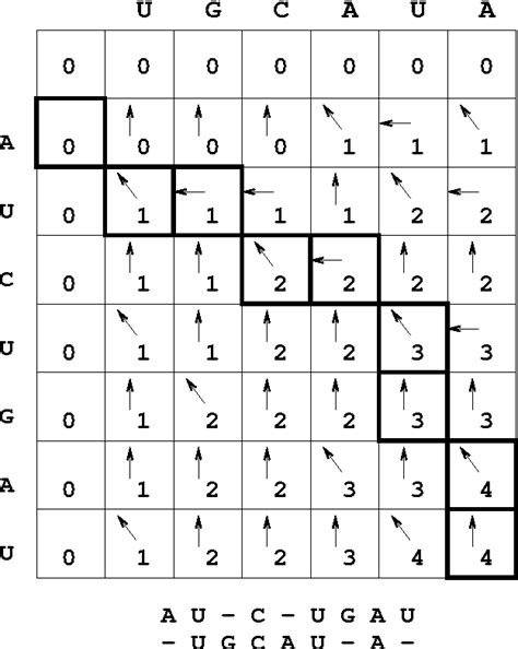 Figure 11 From Rna Structural Alignment By Means Of Lagrangian Relaxation Semantic Scholar