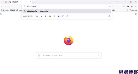 Firefox火狐浏览器设置打开书签在新标签页打开的教程 琳晨blog