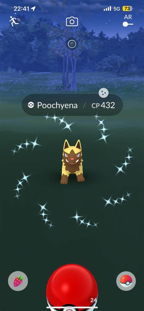 [mobile] The Wild Shiny Poochyena Appeared R Shinypokemon