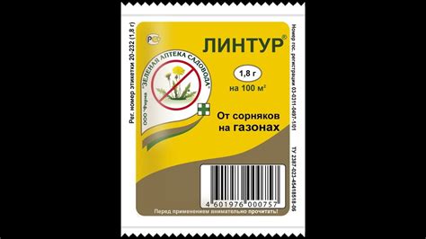 Линтур - YouTube