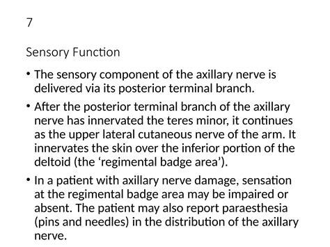 Axillary 3axillary Nerve Axillary Nerve Pptx