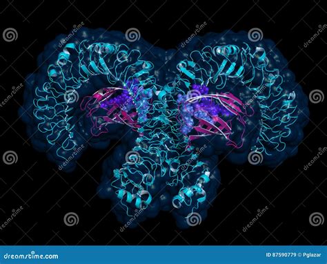 TLR Toll Like Receptor Cartoon Model With Semi Transparent Surface Stock Illustration