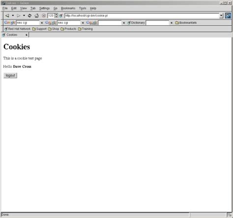 Cgi Programming Part 3 Perl Hacks