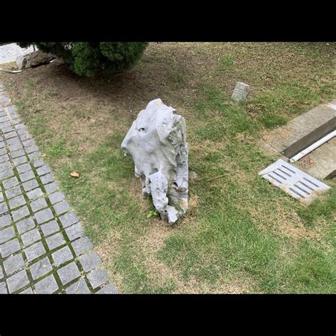 Objection Detection In Lab Roboflow Universe