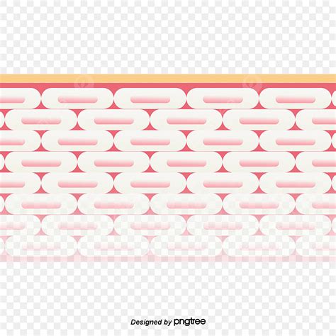 Section View Clipart PNG Vector PSD And Clipart With Transparent Background For Free Download