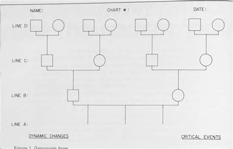 Genogram Paper Examples