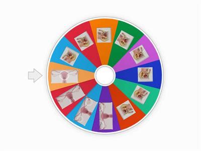 Caracteres sexuales Recursos didácticos