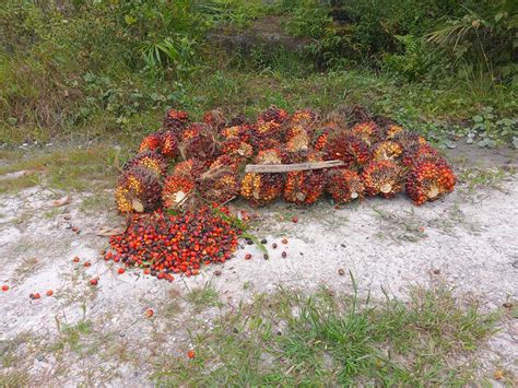 Label Data Label Data V8uv2 Roboflow Universe