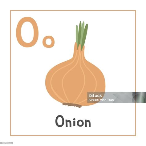 양파 클립 아트 양파 벡터 일러스트 레이 션 만화 플랫 스타일입니다 야채는 문자 O로 시작합니다 야채 알파벳 카드 학습 편지 O 카드 어린이 교육 귀여운 양파 벡터 디자인